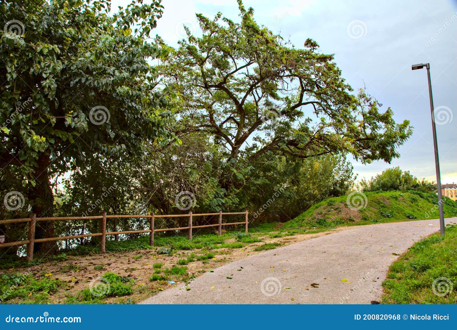 Bike Lane at Noon in Autumn Stock Photo - Image of offspring, helmet ...