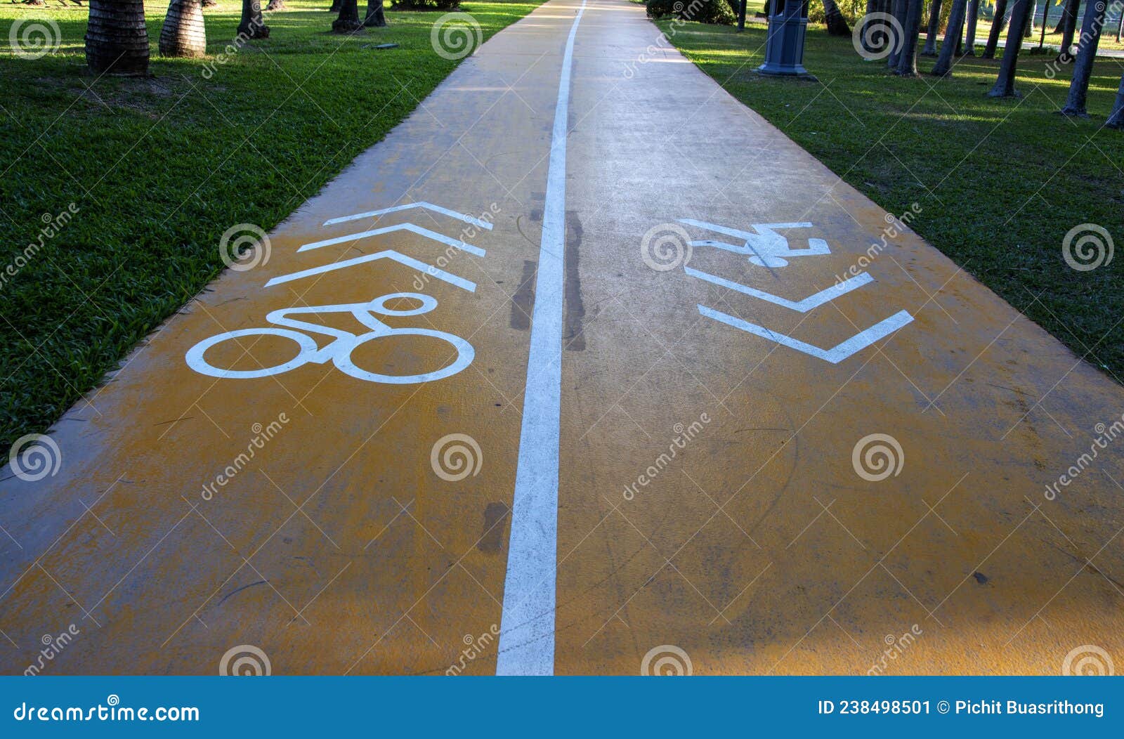 Bike Lane in Park and Grass Stock Image - Image of city, care: 238498501