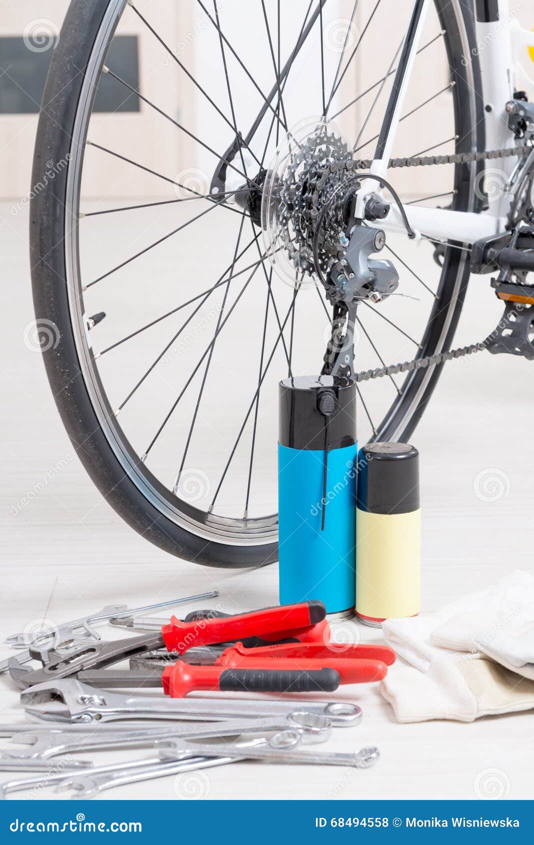 Bike maintenance stock photo. Image of professional, repair - 68494558