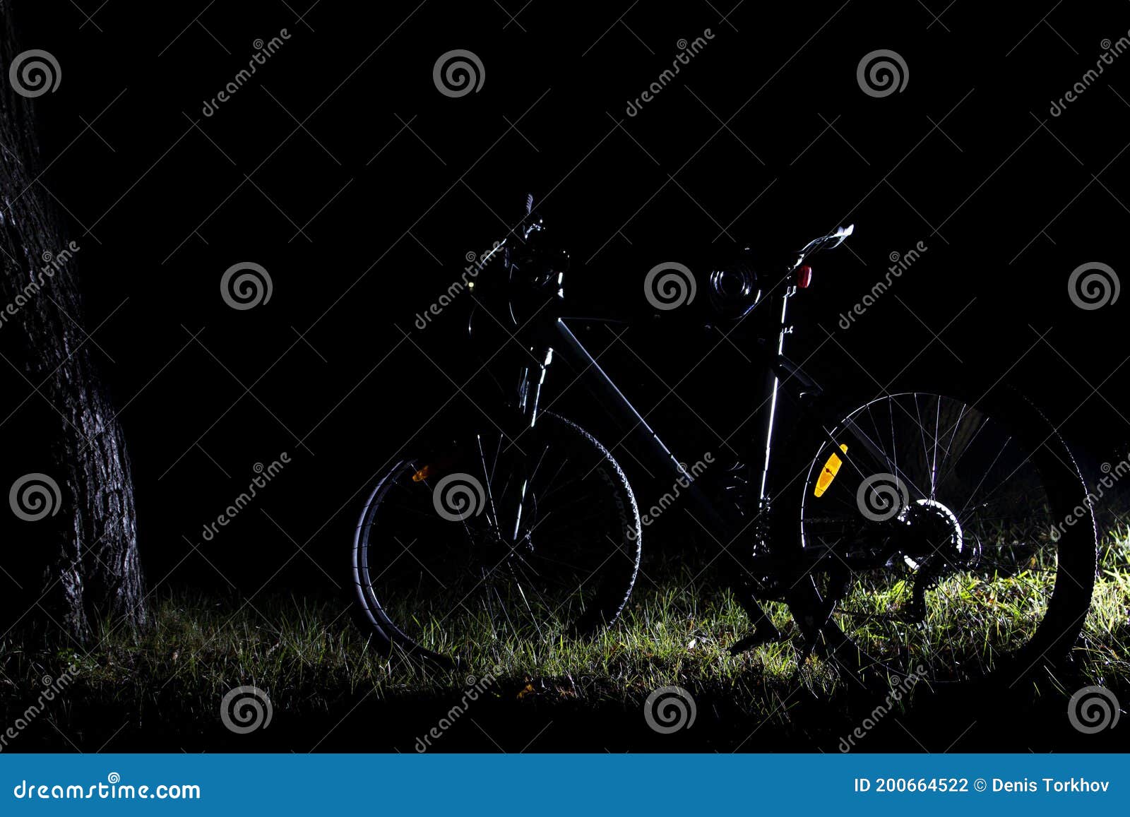 Bike in the Night Forest in Backlight Stock Photo - Image of cold ...