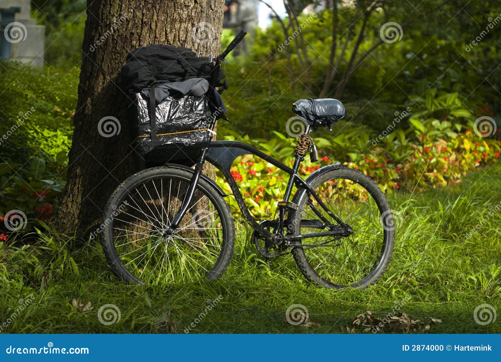 Bike parked against a tree stock photo. Image of flowers - 2874000