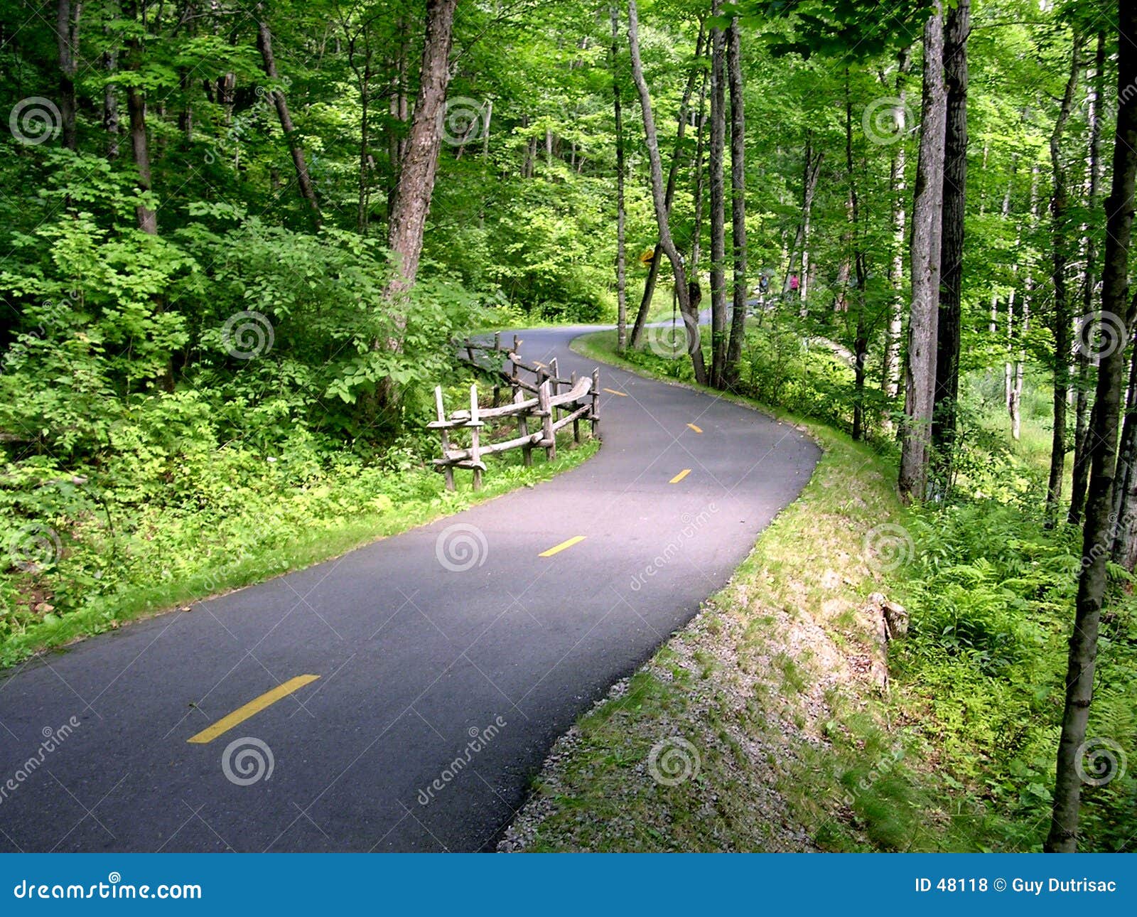 Bike Path stock photo. Image of beautiful, shadows, forest - 48118