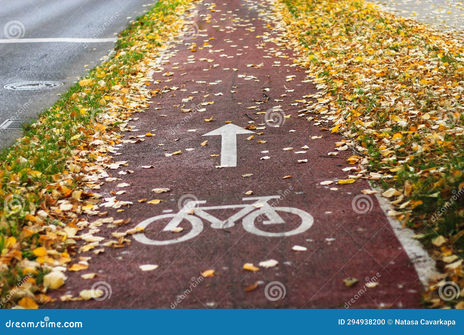 Bike Path in Autumn, Sarajevo Stock Photo - Image of yellow, path: 294938200