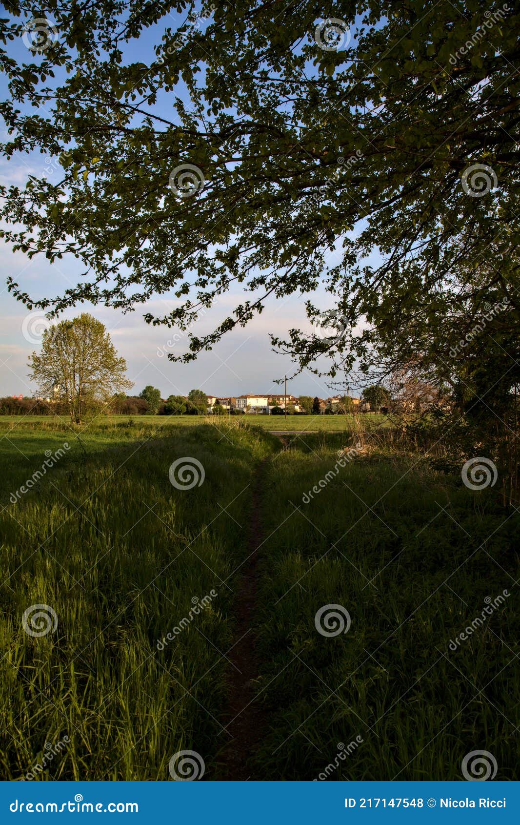 Bike Path Bordered by a Field in Spring at Sunset Stock Photo - Image ...