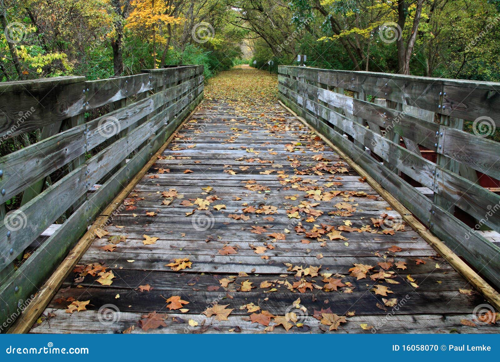 Bike Path Bridge stock photo. Image of calming, calm - 16058070