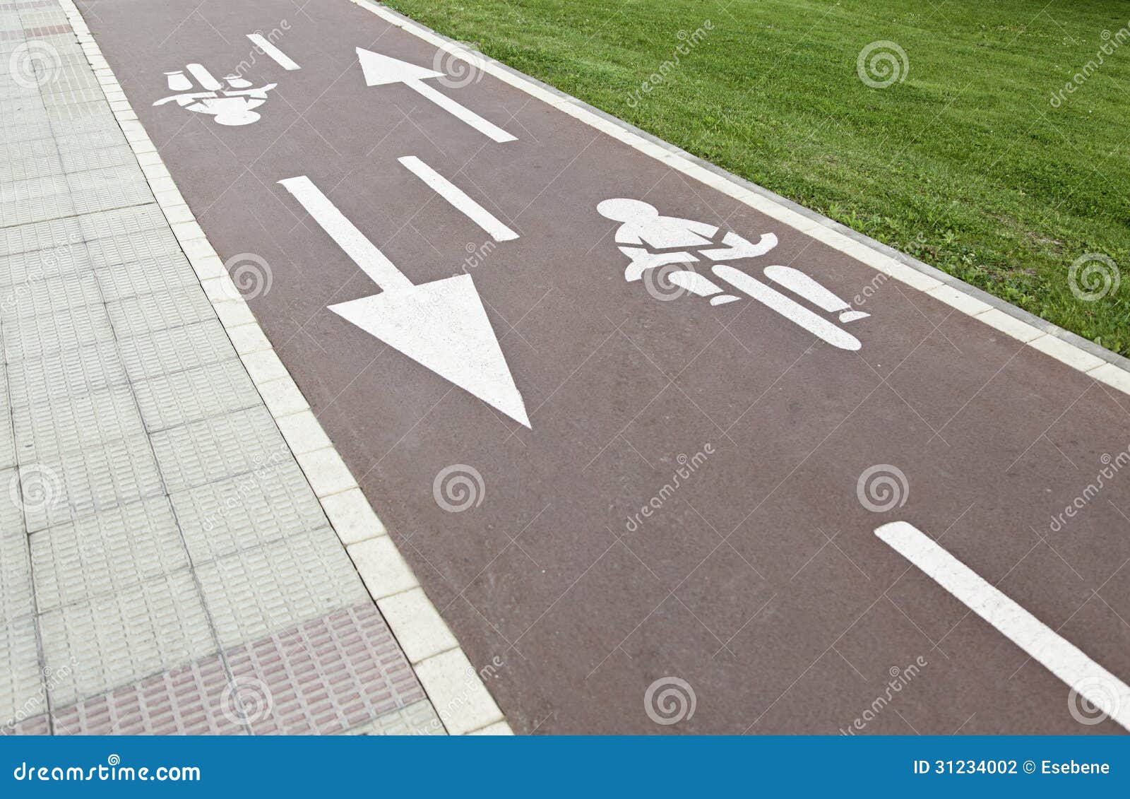 Bike path in city stock photo. Image of activity, circle - 31234002