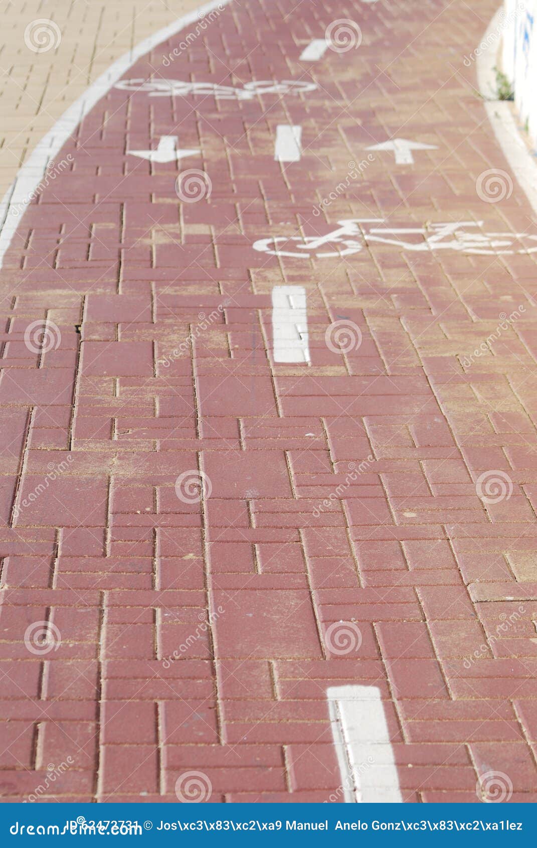 Bike stock image. Image of field, curved, cycle, race - 62472731