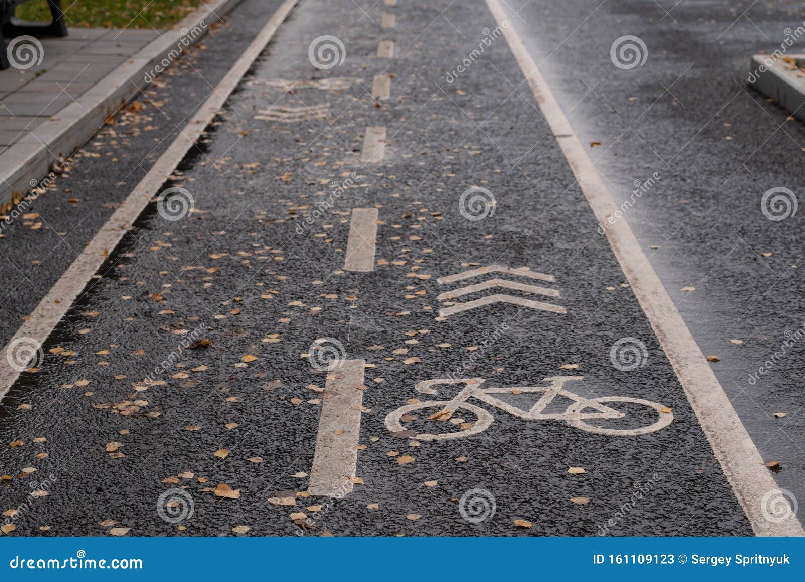 Bike Path, Dark Road and Yellow Lines Stock Image - Image of bike ...