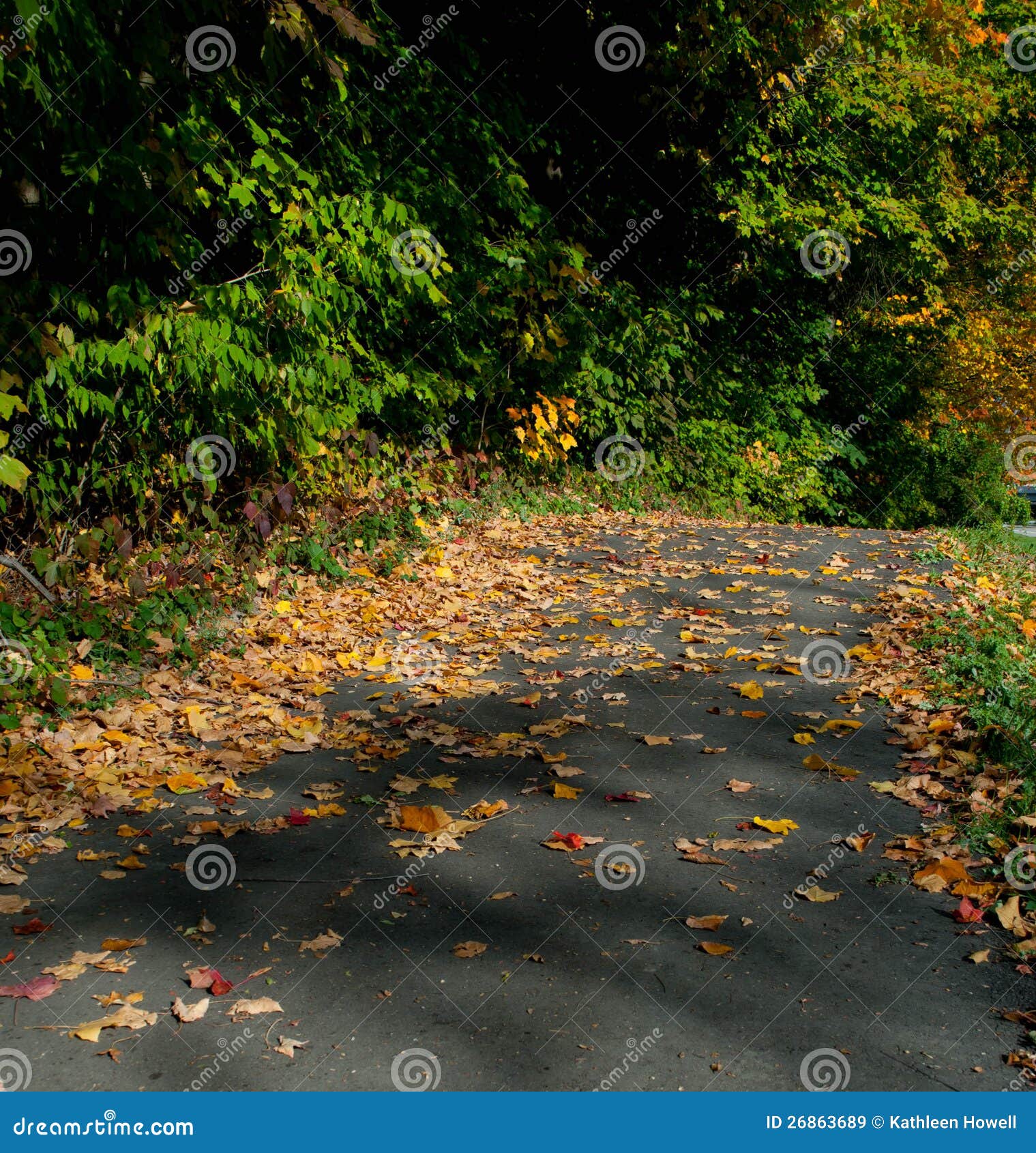 Bike Path in the Fall stock image. Image of autumn, fall - 26863689