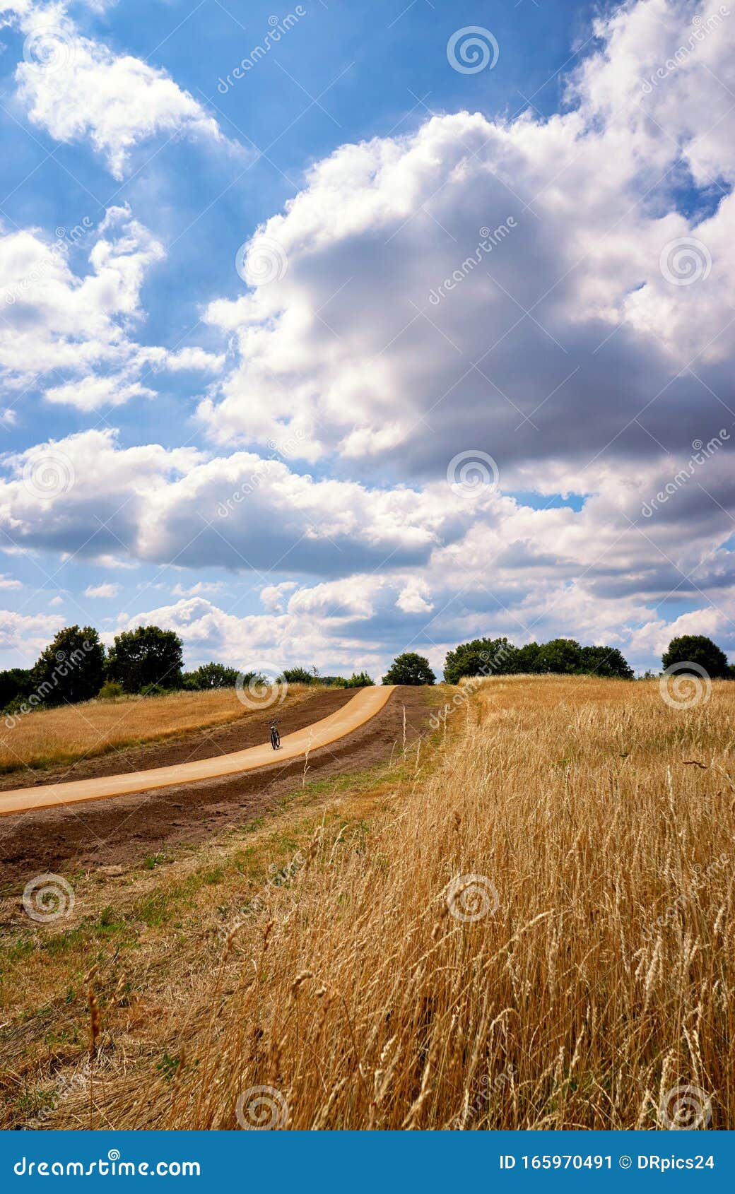 Bike Path Meanders through a Cornfield Under Clear Sky with Clouds ...