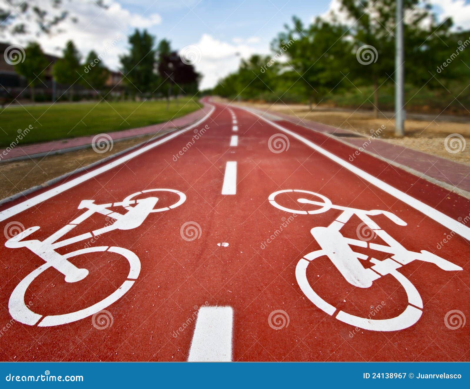 Bike path on a park stock image. Image of bicycle, green - 24138967