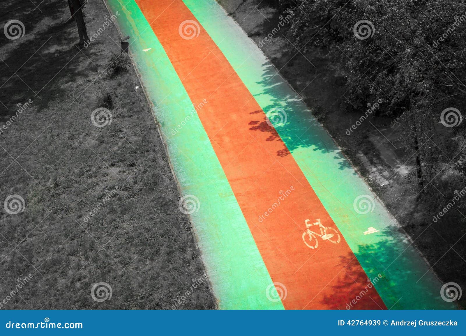 A bike path in the Park stock image. Image of asphalt - 42764939