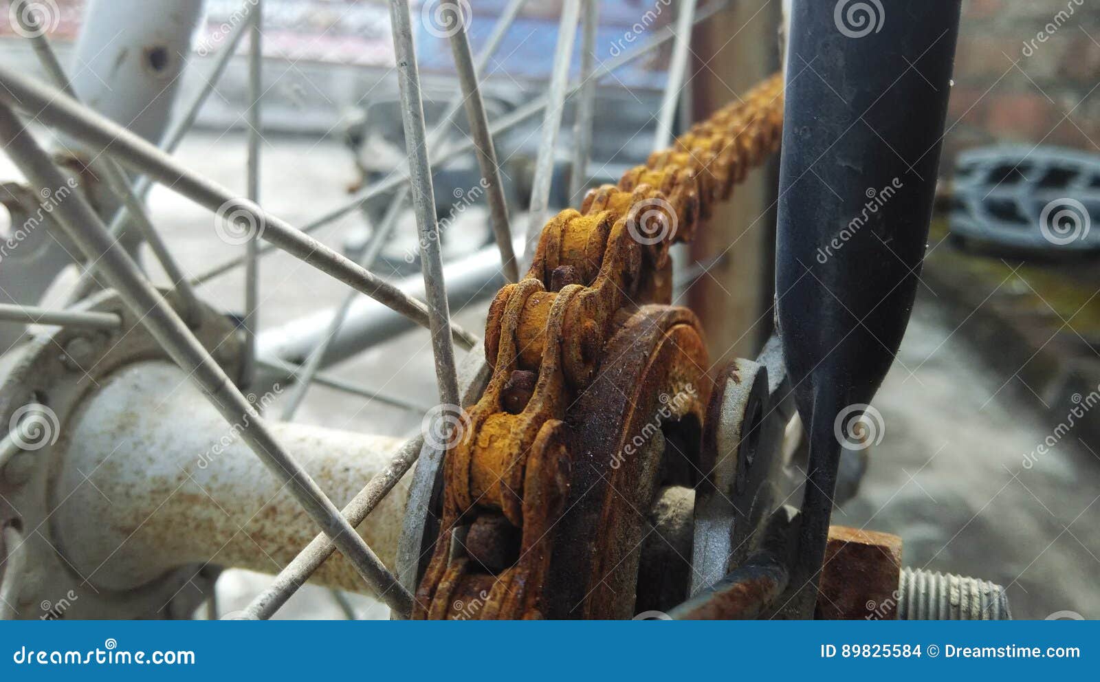 Normal Exposer Object Stock Photos - Free & Royalty-Free Stock Photos ...