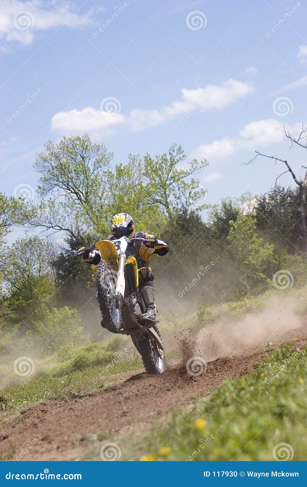 Wheelie Cruiser Stock Photos - Free & Royalty-Free Stock Photos from ...