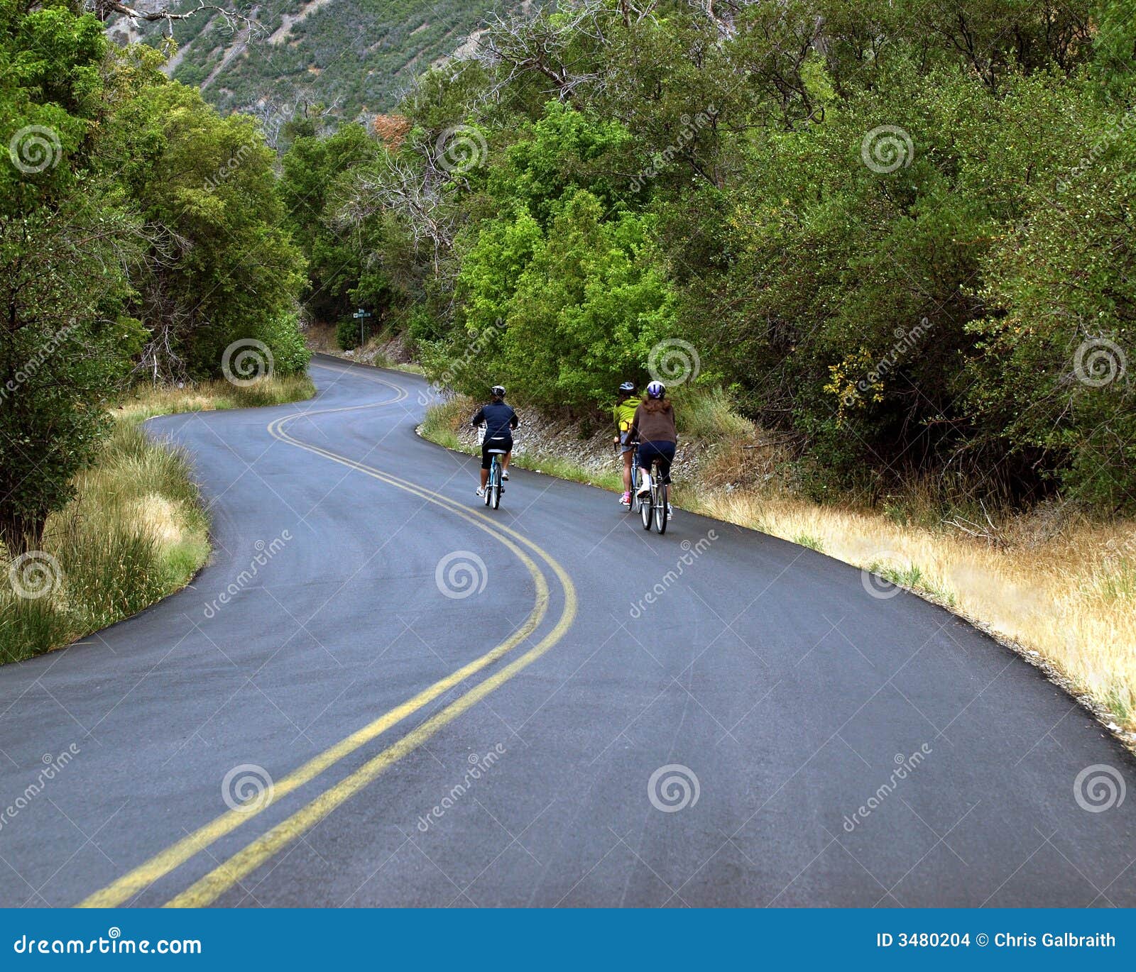 Bike ride stock photo. Image of curve, friends, solitude - 3480204