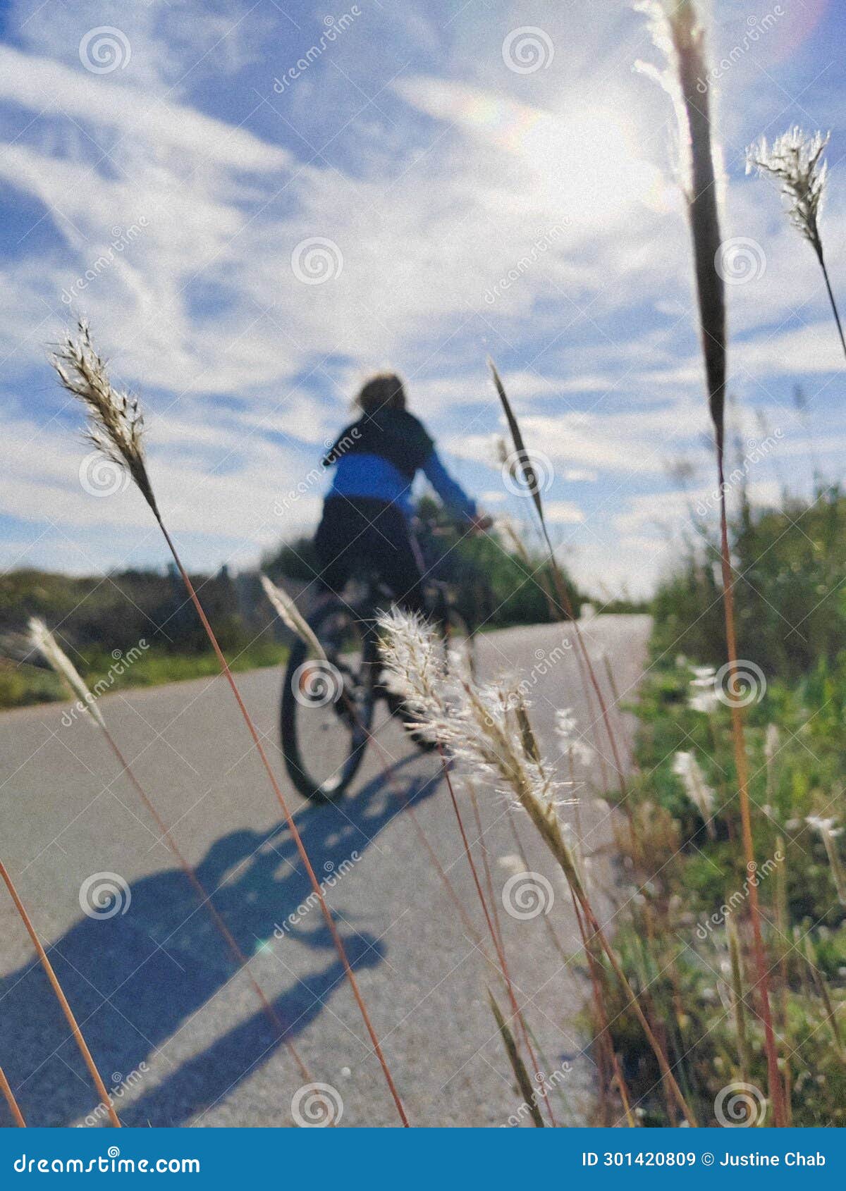 Bike Ride on a Cycling Path Stock Image - Image of tourism, ride: 301420809