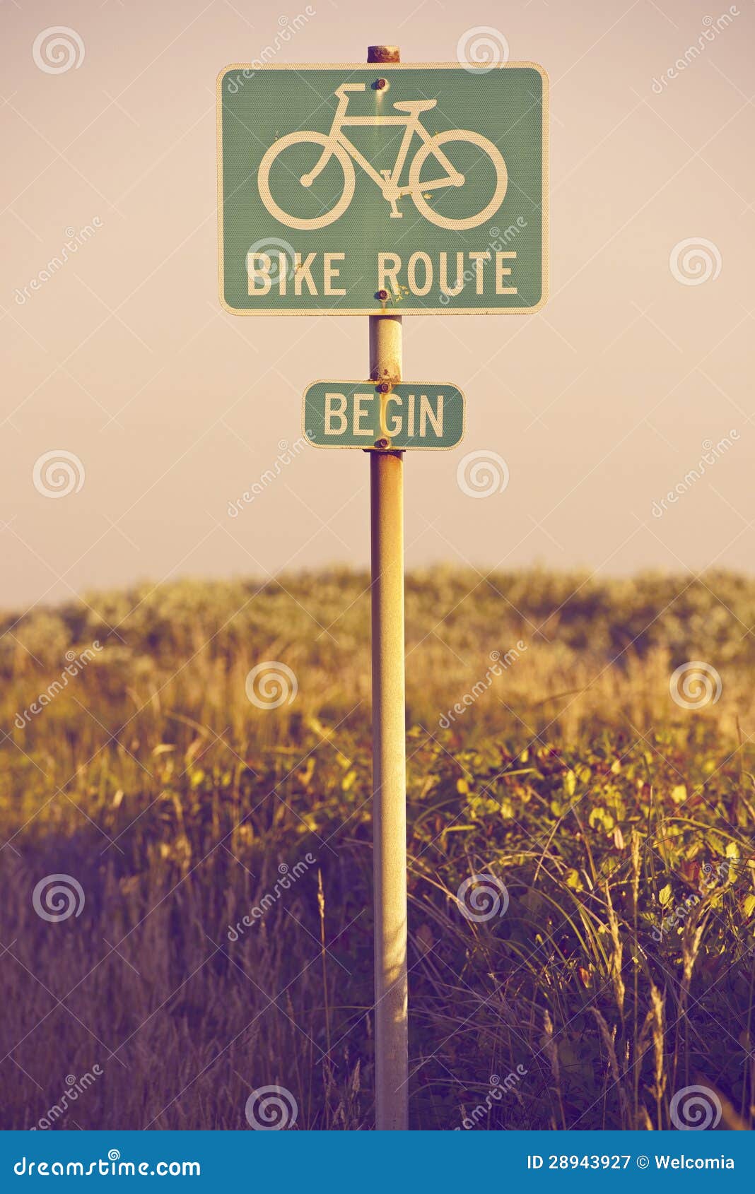 Bike Route Green Road Sign In California, USA. Bicycle Lane Singpost ...