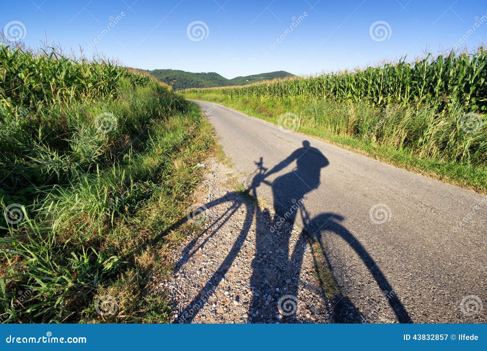 Bike shadow stock image. Image of leisure, fiel, action - 43832857