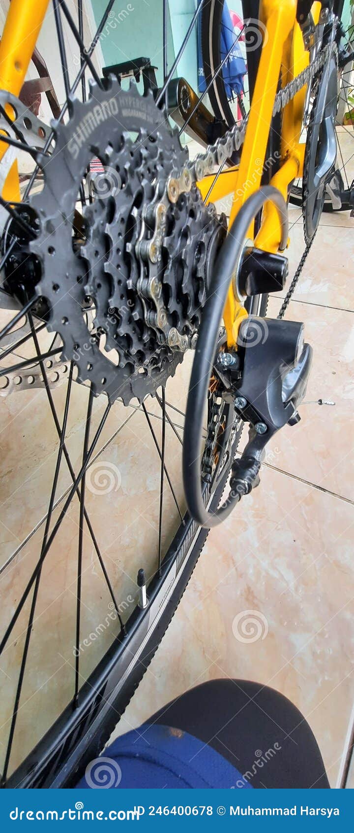 Bike. Sprocket. Wheel. Chain Editorial Stock Photo - Image of tire ...
