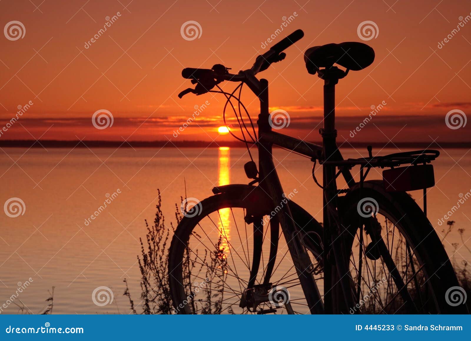 Bike at sunset stock image. Image of recreation, evening - 4445233