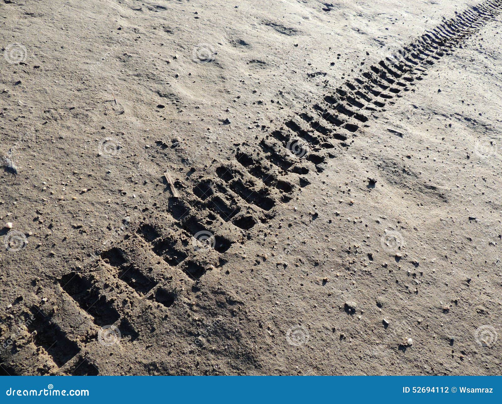 Bike Trace stock photo. Image of pattern, trace, cross - 52694112