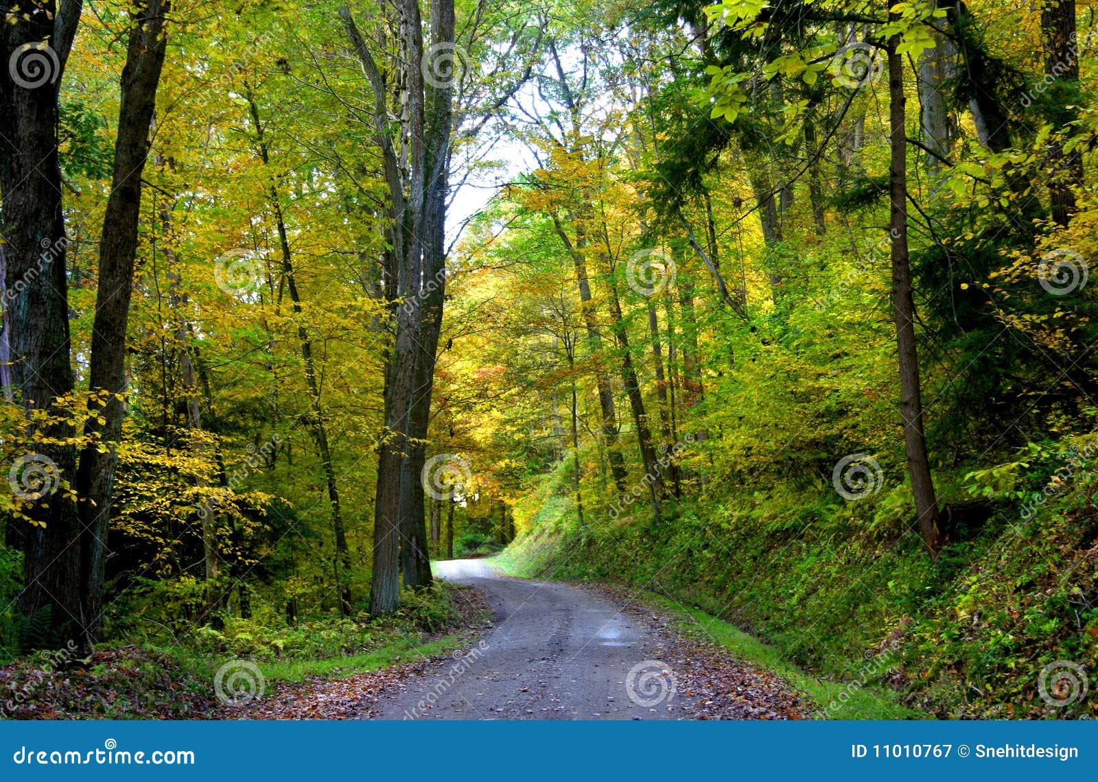 Bike trail stock image. Image of colorful, autumn, reds - 11010767