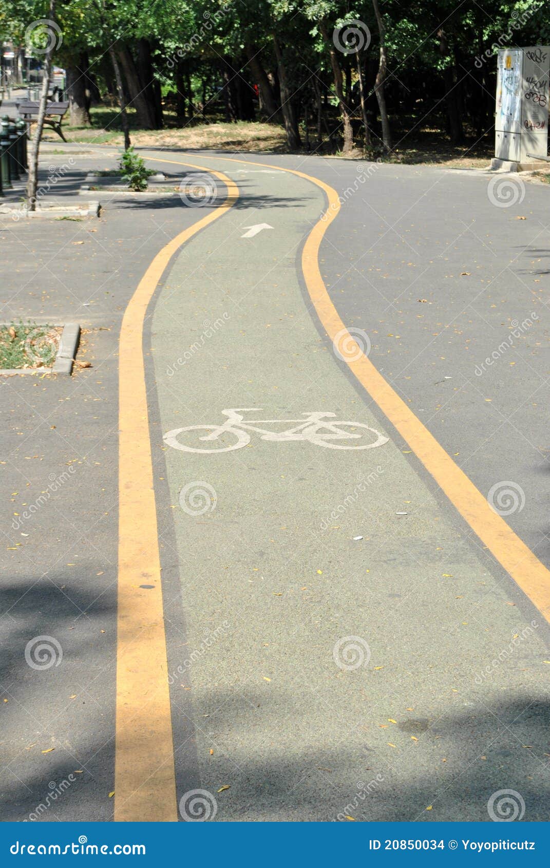 Bike way stock photo. Image of bike, alley, marking, cycling - 20850034