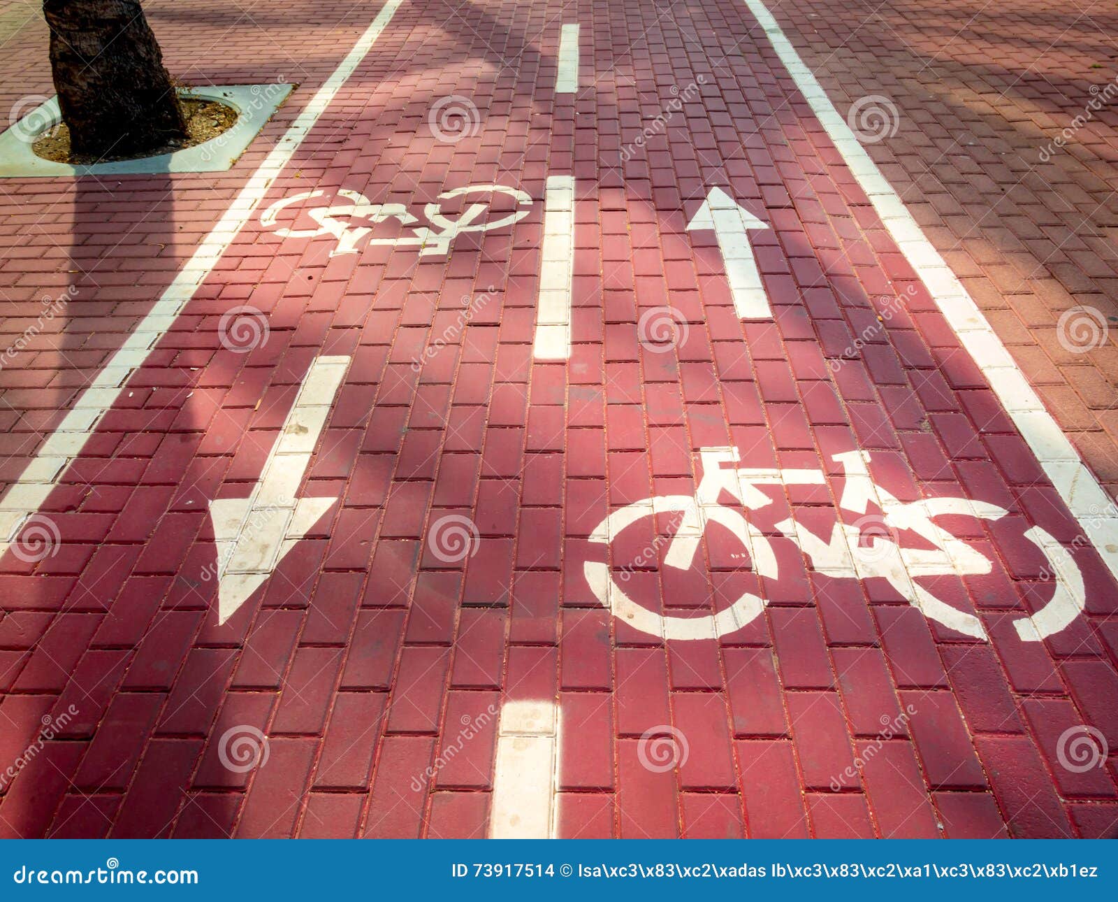 Bike way stock photo. Image of cycle, concept, pathway - 73917514