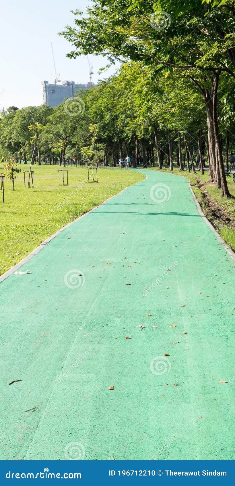 Bike way in park,cycleway stock photo. Image of lane - 196712210