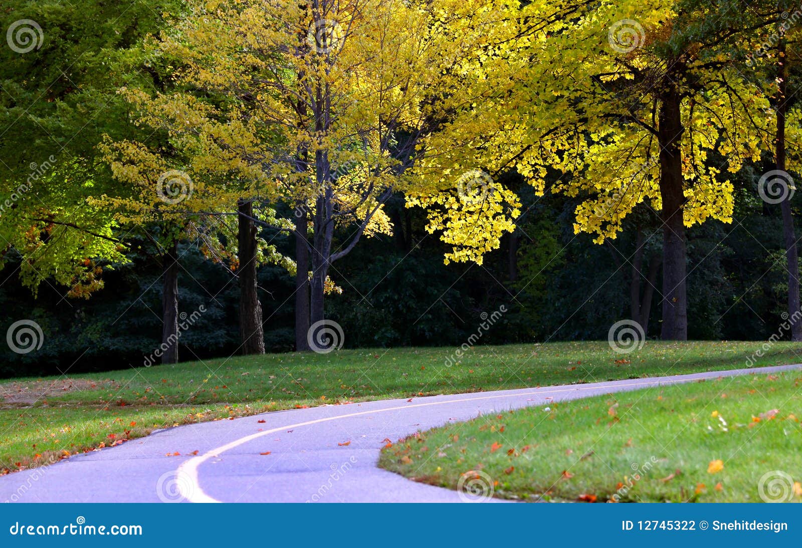 Bike way in woods stock photo. Image of trip, vacation - 12745322