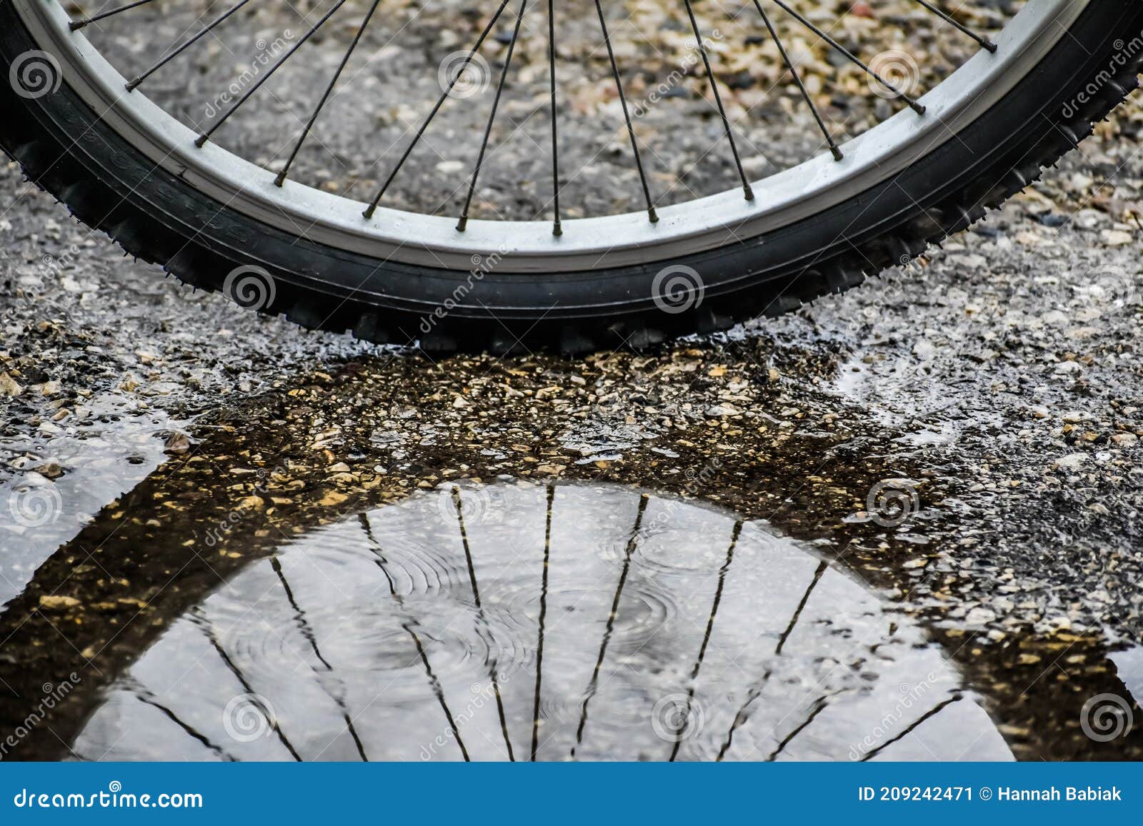 Bicycle Wheel with Reflection in Rain Puddle Stock Image - Image of ...