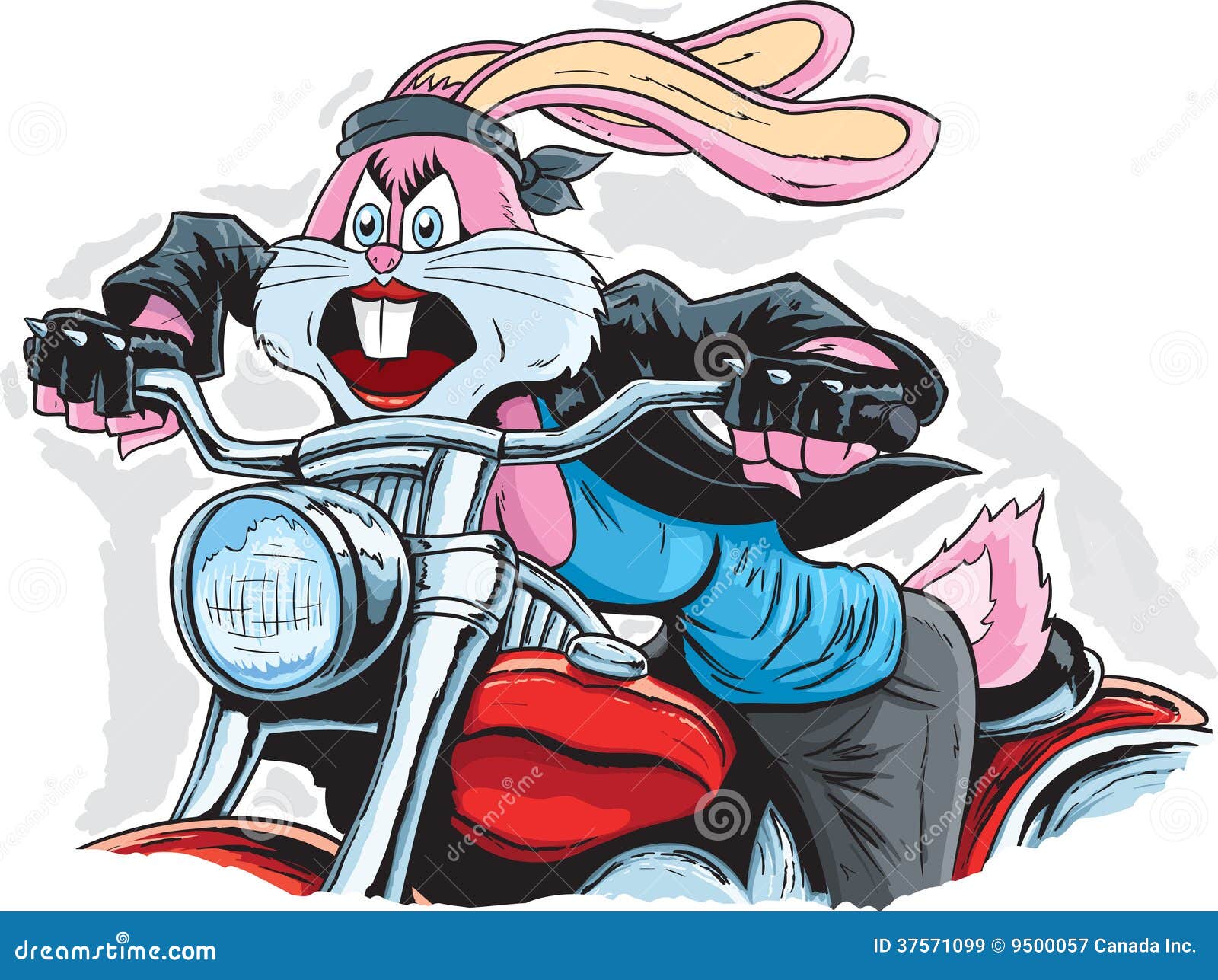 Biker Rabbit stock vector. Illustration of jacket, furious - 37571099