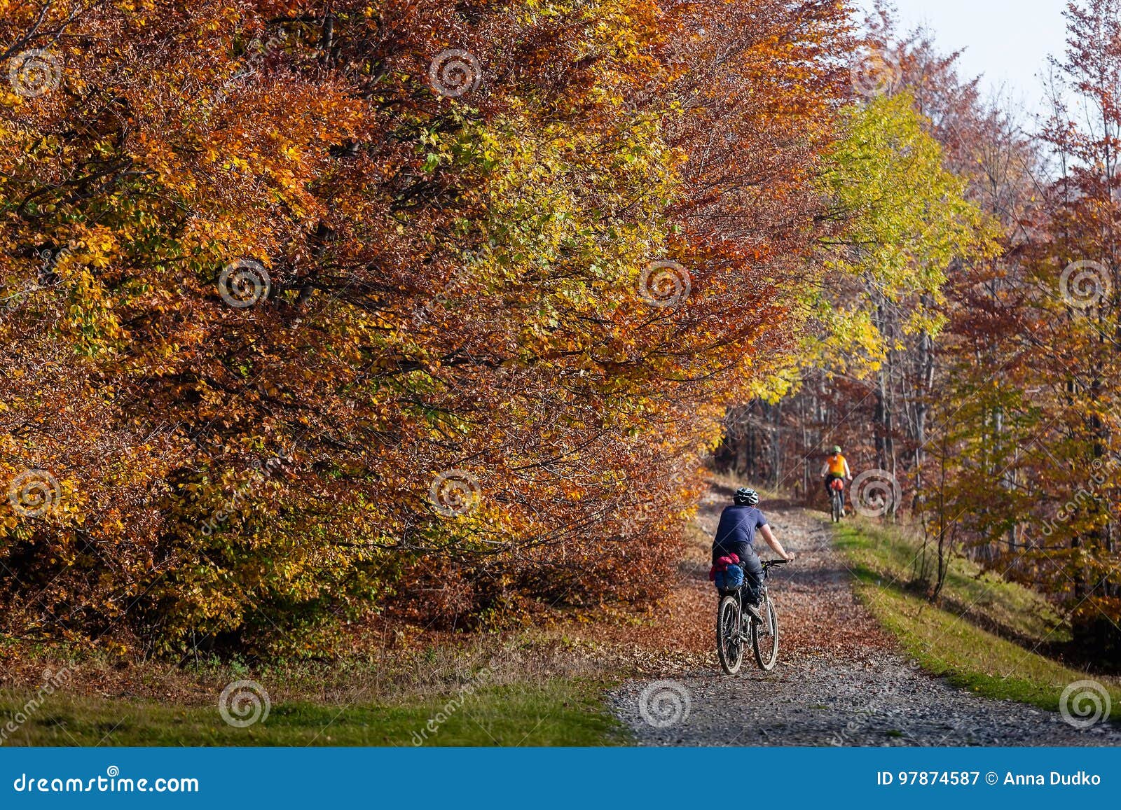 Biker Riding in Autumn Mountains Stock Image - Image of outdoor, road ...
