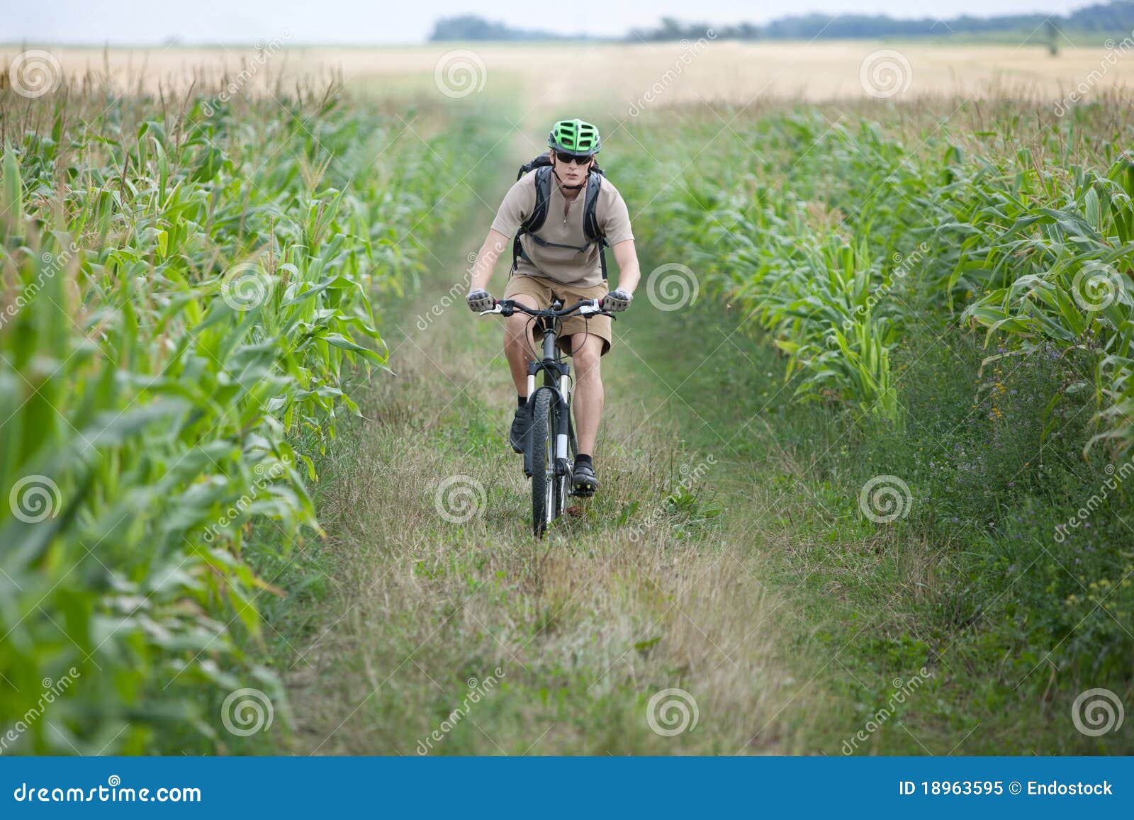 Biker riding at cornfield stock image. Image of feel - 18963595