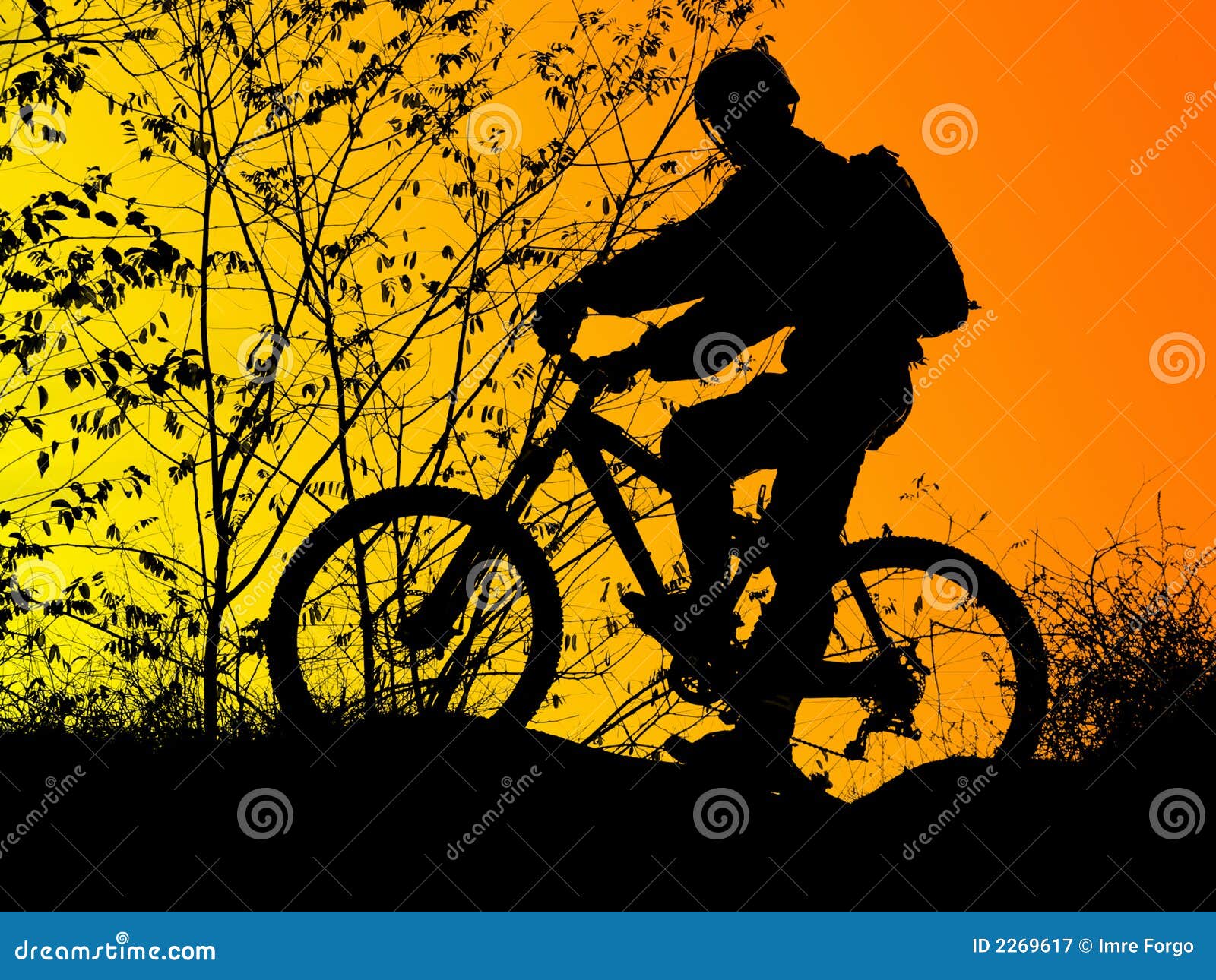 Biker silhouette stock image. Image of dawn, exercise - 2269617