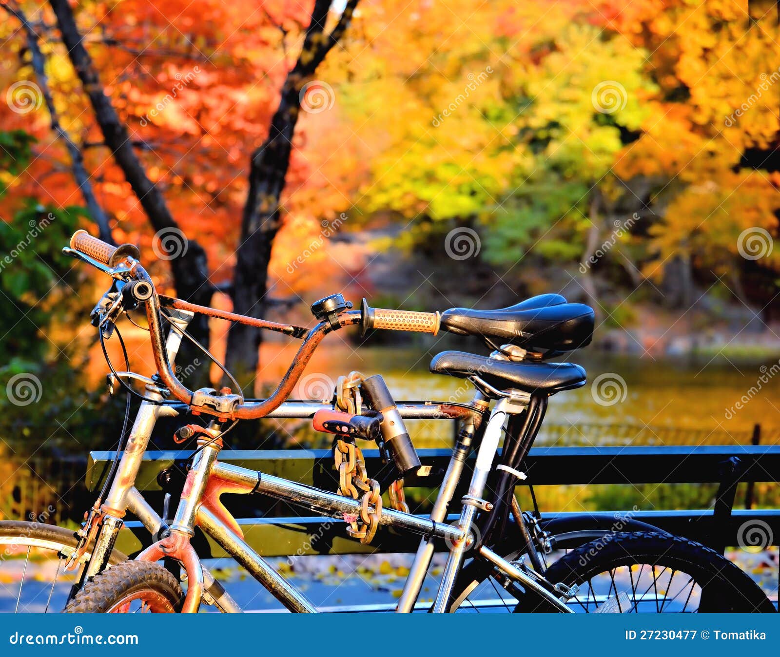 Bikes in Fall stock image. Image of bicycle, autumn, abstract - 27230477