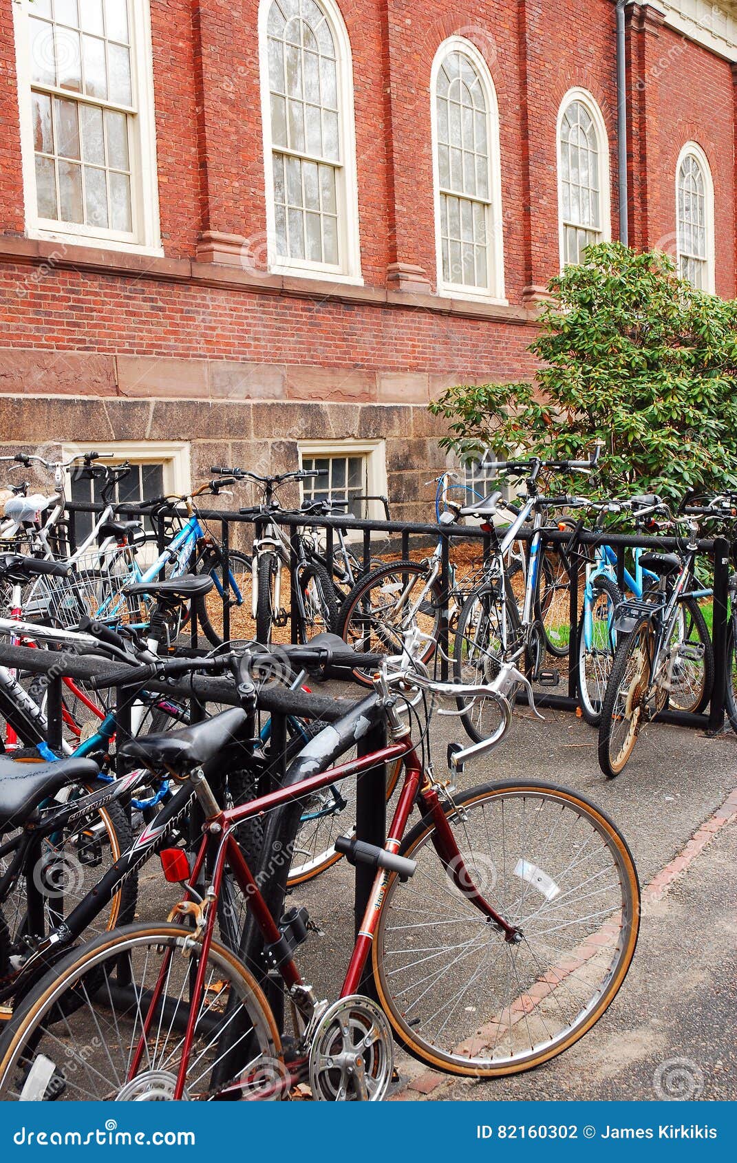 Bikes at Harvard editorial photography. Image of american - 82160302