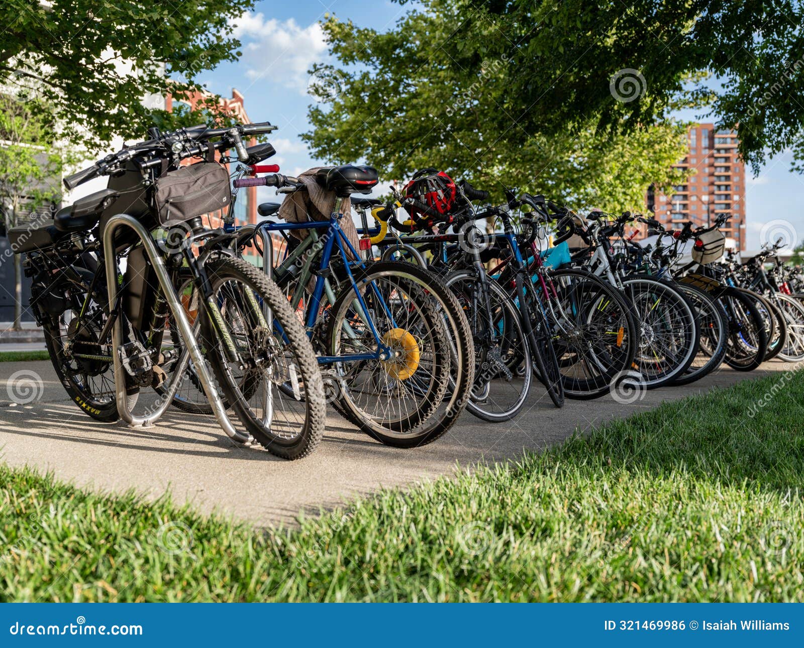 Bikes Lined Up on Bike Rack on a Sunny Day Stock Photo - Image of pedal ...