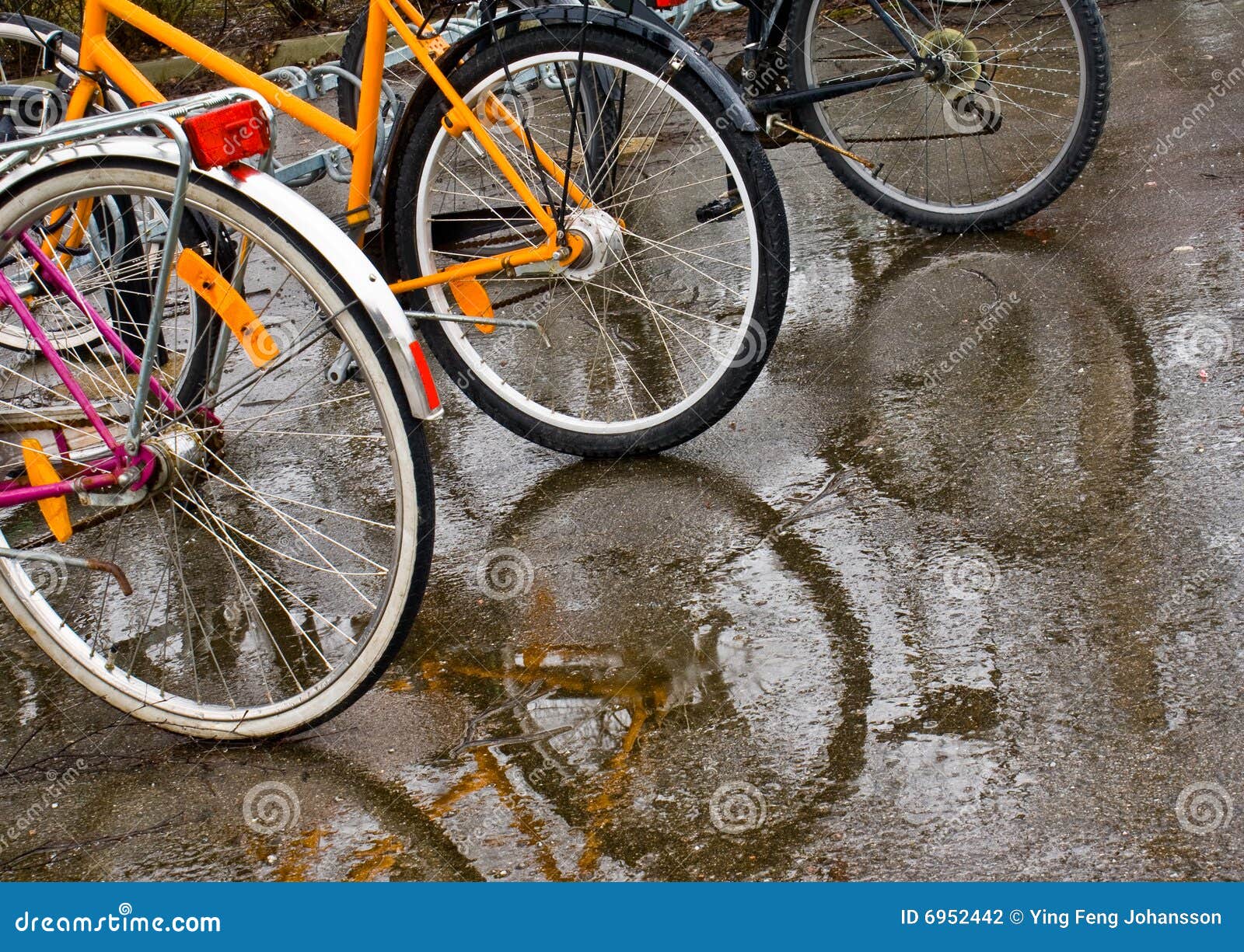 Bikes in the rain stock photo. Image of rain, valve, lamp - 6952442