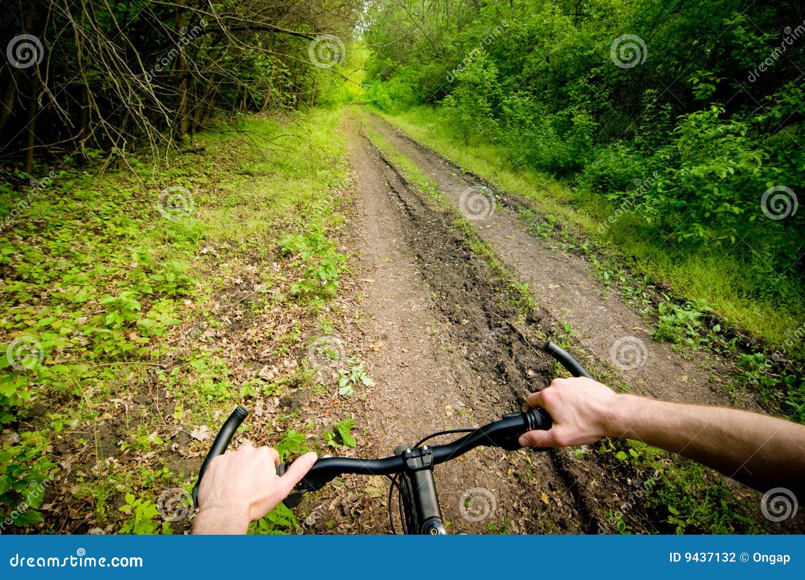 Biking on forest road stock photo. Image of riding, adventure - 9437132