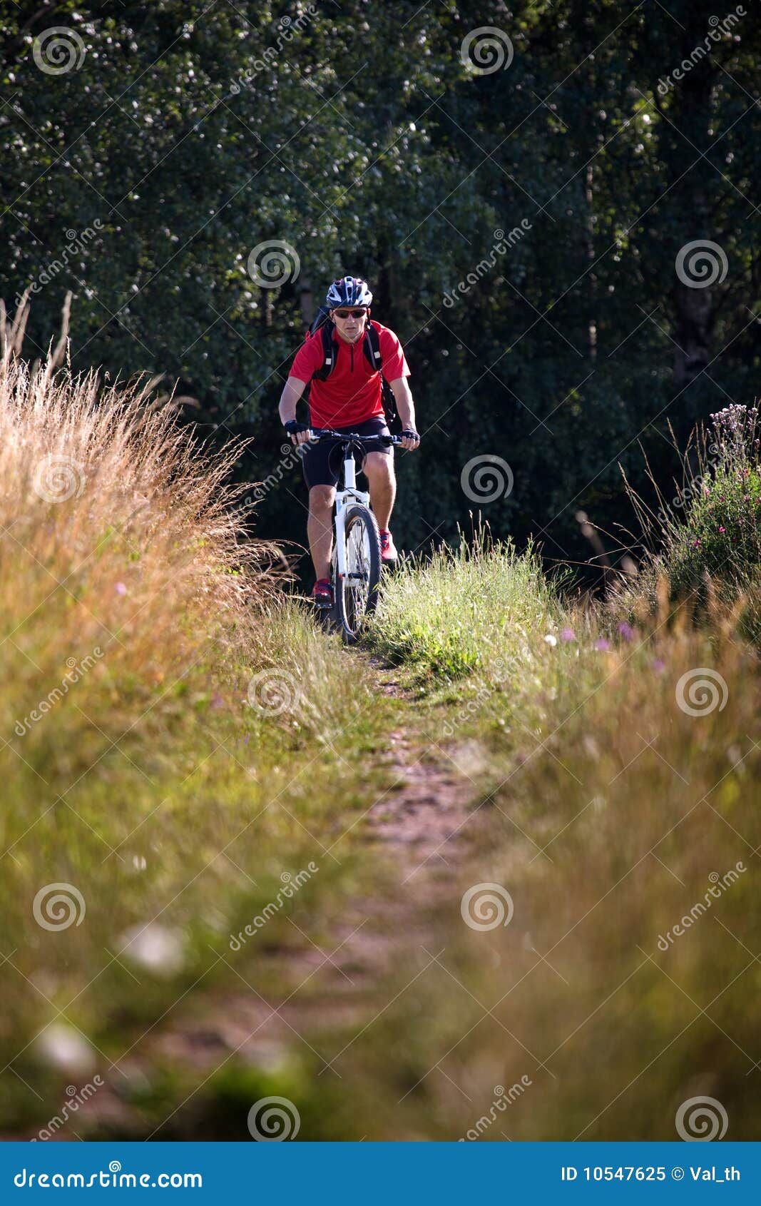 Biking man stock image. Image of summer, healthy, cycling - 10547625