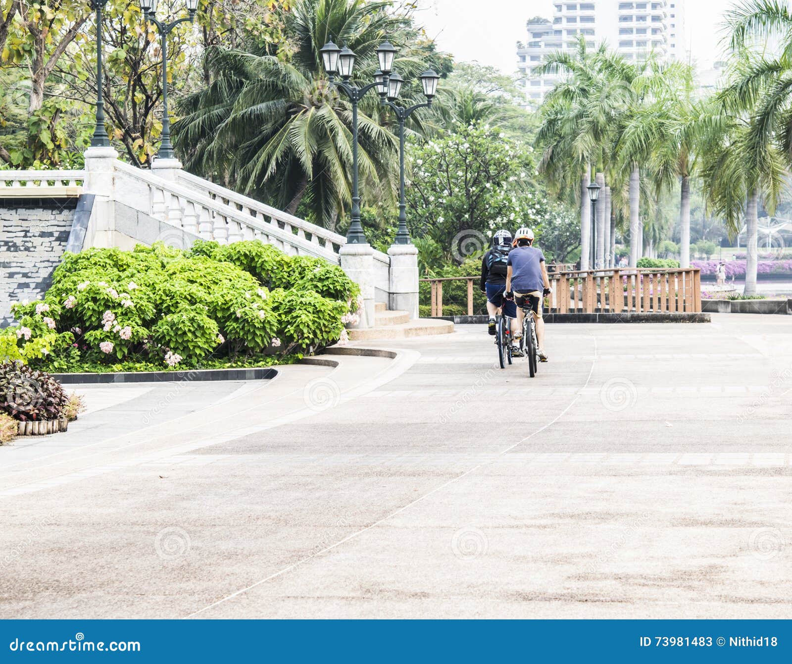 Biking in the park stock image. Image of beautiful, nature - 73981483