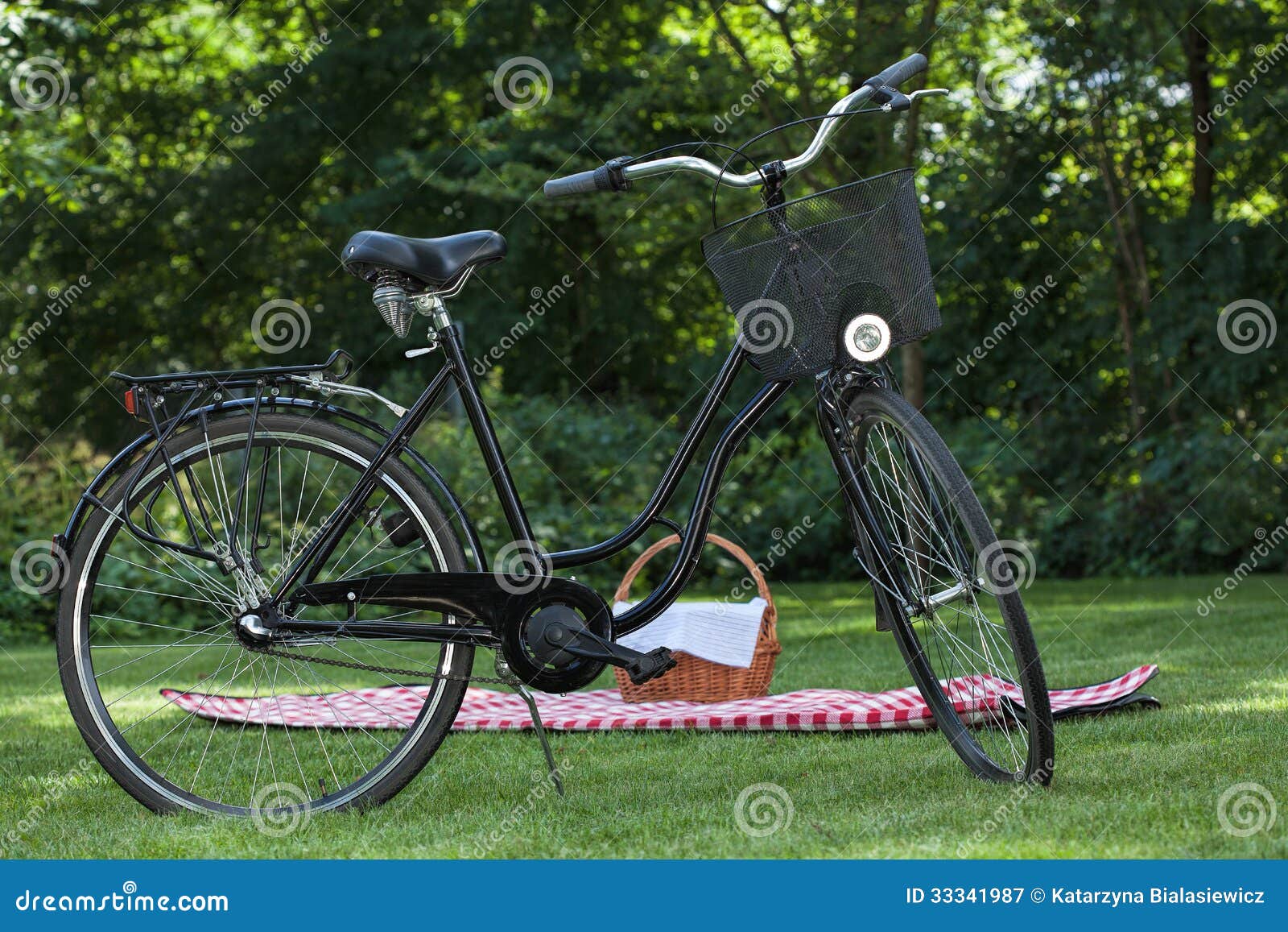Biking and picnic stock image. Image of activity, outing - 33341987