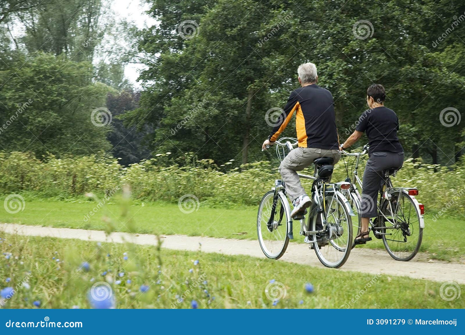 Biking Seniors in the Park stock image. Image of biking - 3091279
