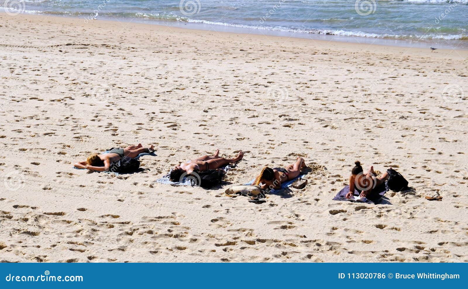 Sun Baking At Coogee Beach Sydney Australia Editorial Photo Image
