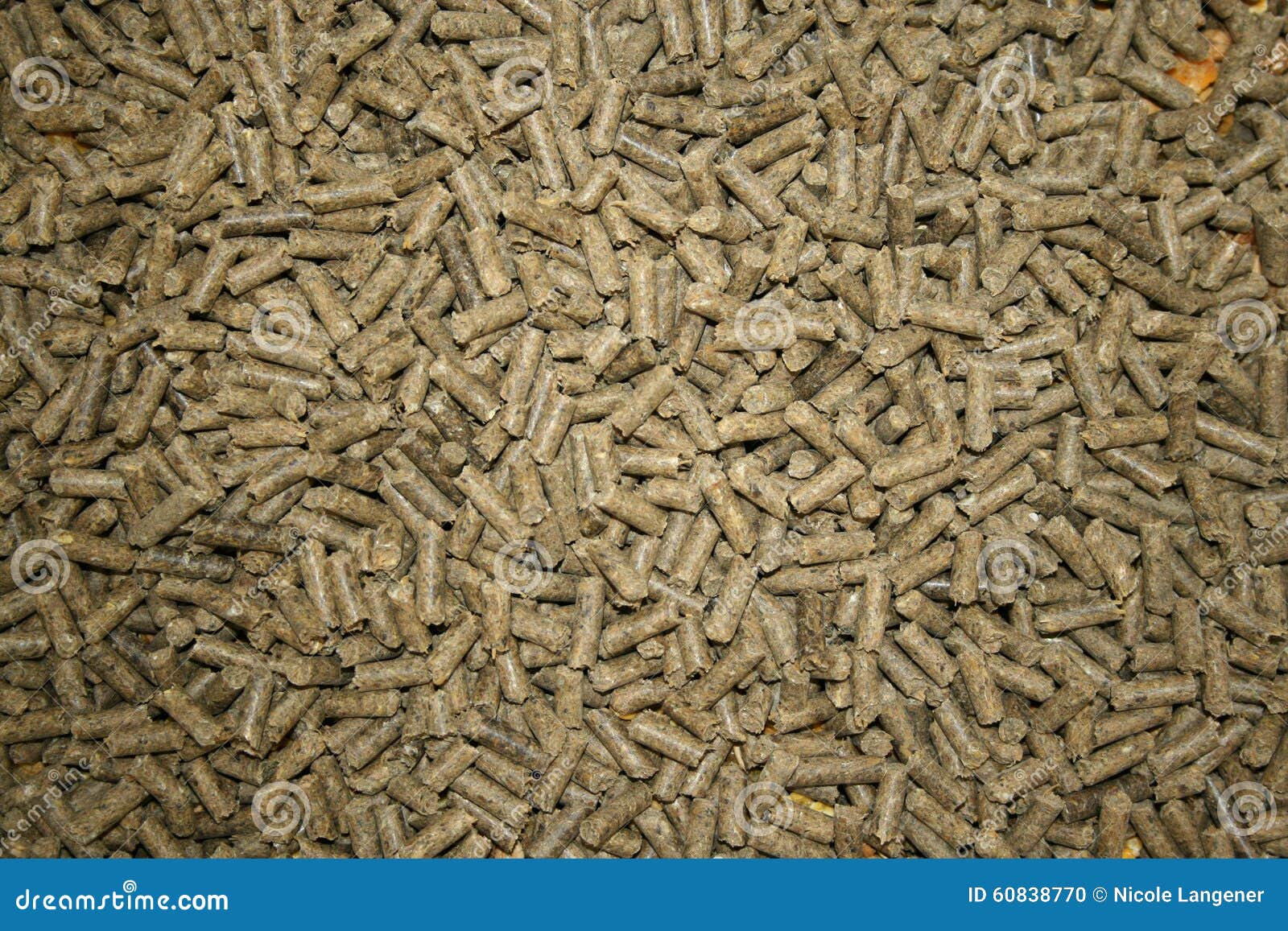 Biks stock foto. Image of landbouw, voedingsmiddelen - 60838770