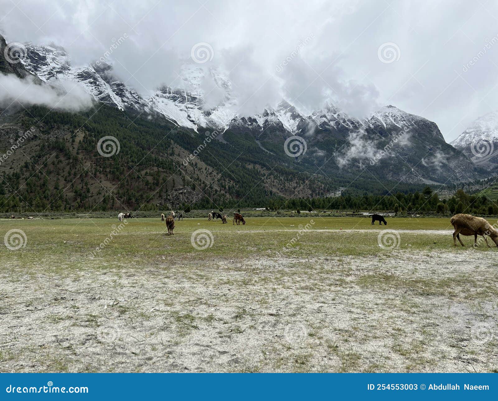 Bilamik Valley Gilgit Baltistan Stock Image - Image of nature, snow ...