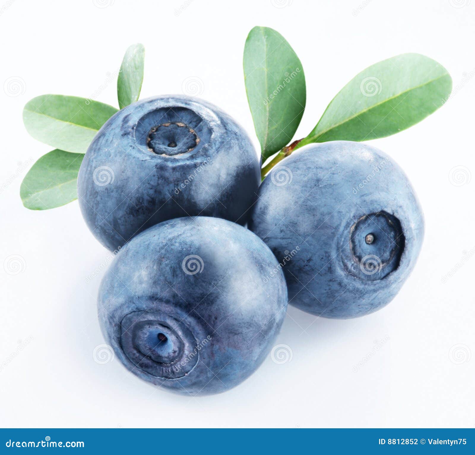 Bilberries stock photo. Image of group, cuisine, bilberry - 8812852