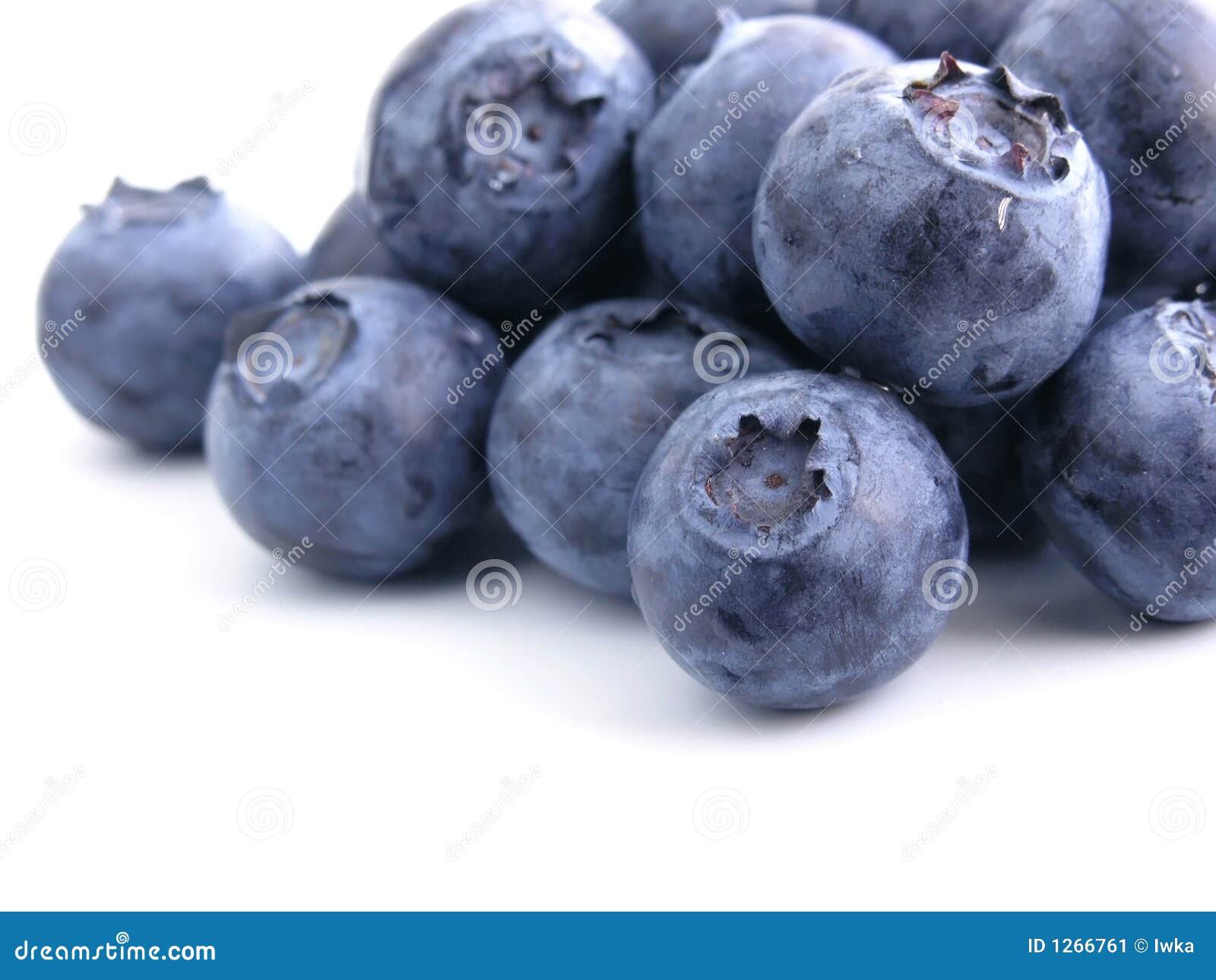 Bilberry stock image. Image of bilberry, healthy, summer - 1266761