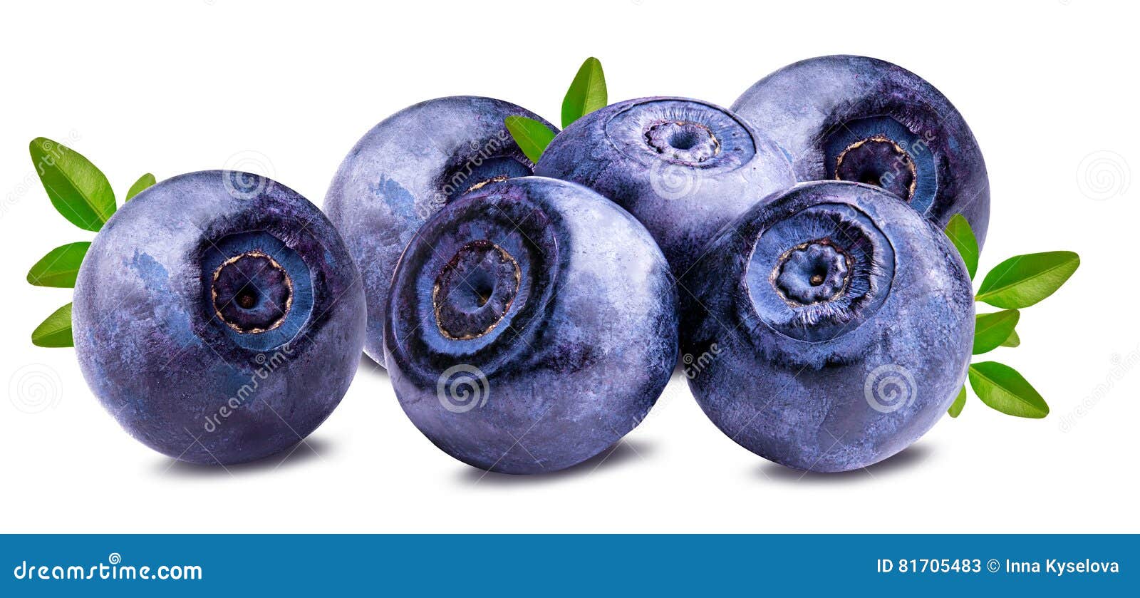 Bilberry Blueberries on White Stock Image - Image of blue, fruit: 81705483